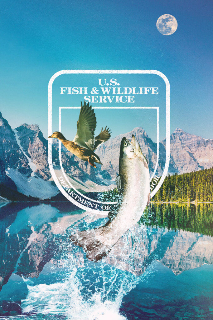 U.S. Fish and Wildlife Service - Threespot